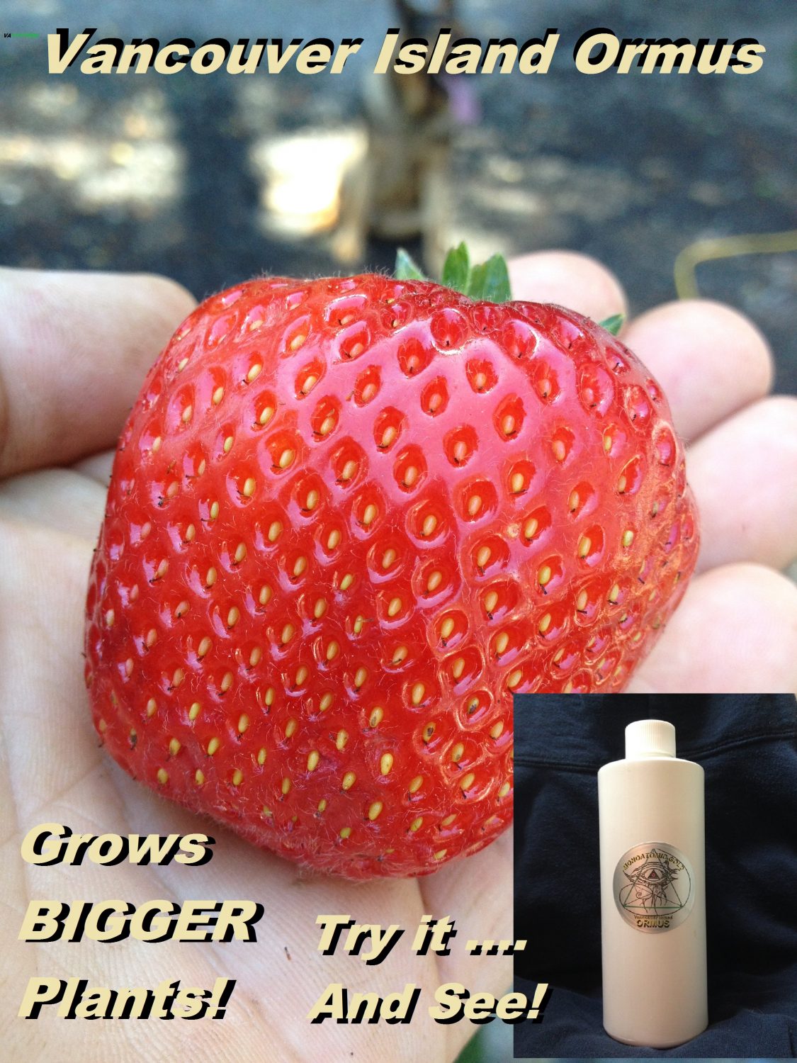 Ormus tests and reactions | Vancouver Island Ormus